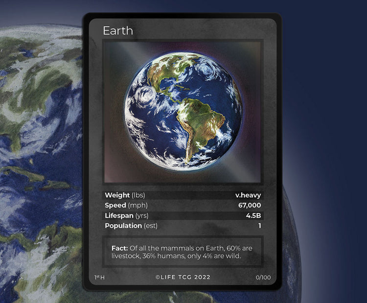 LIFE TCG – lifetcg.com