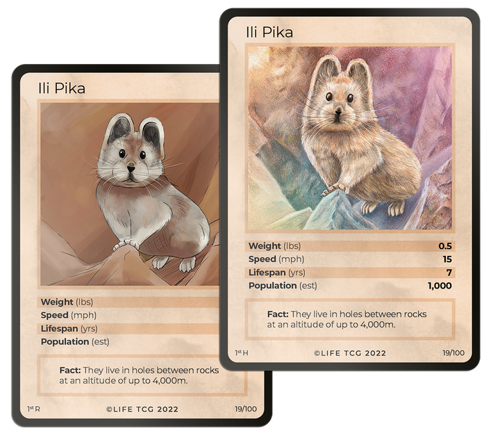 Cards – lifetcg.com